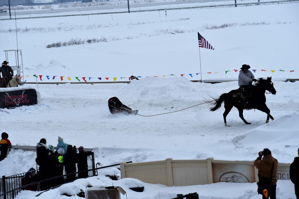 Extreme Horse Skijoring 4
